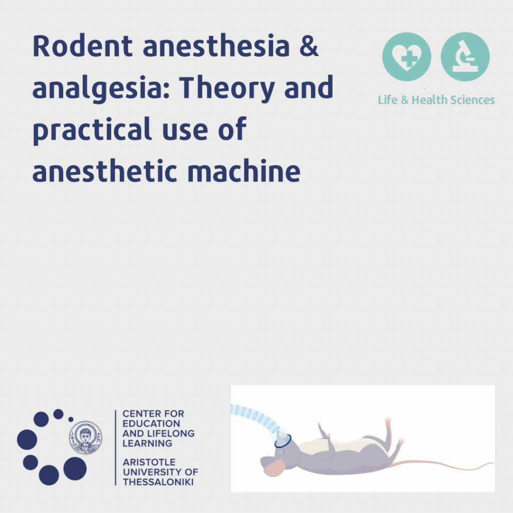 Rodent anesthesia and analgesia: Theory and practical use of anesthetic ...